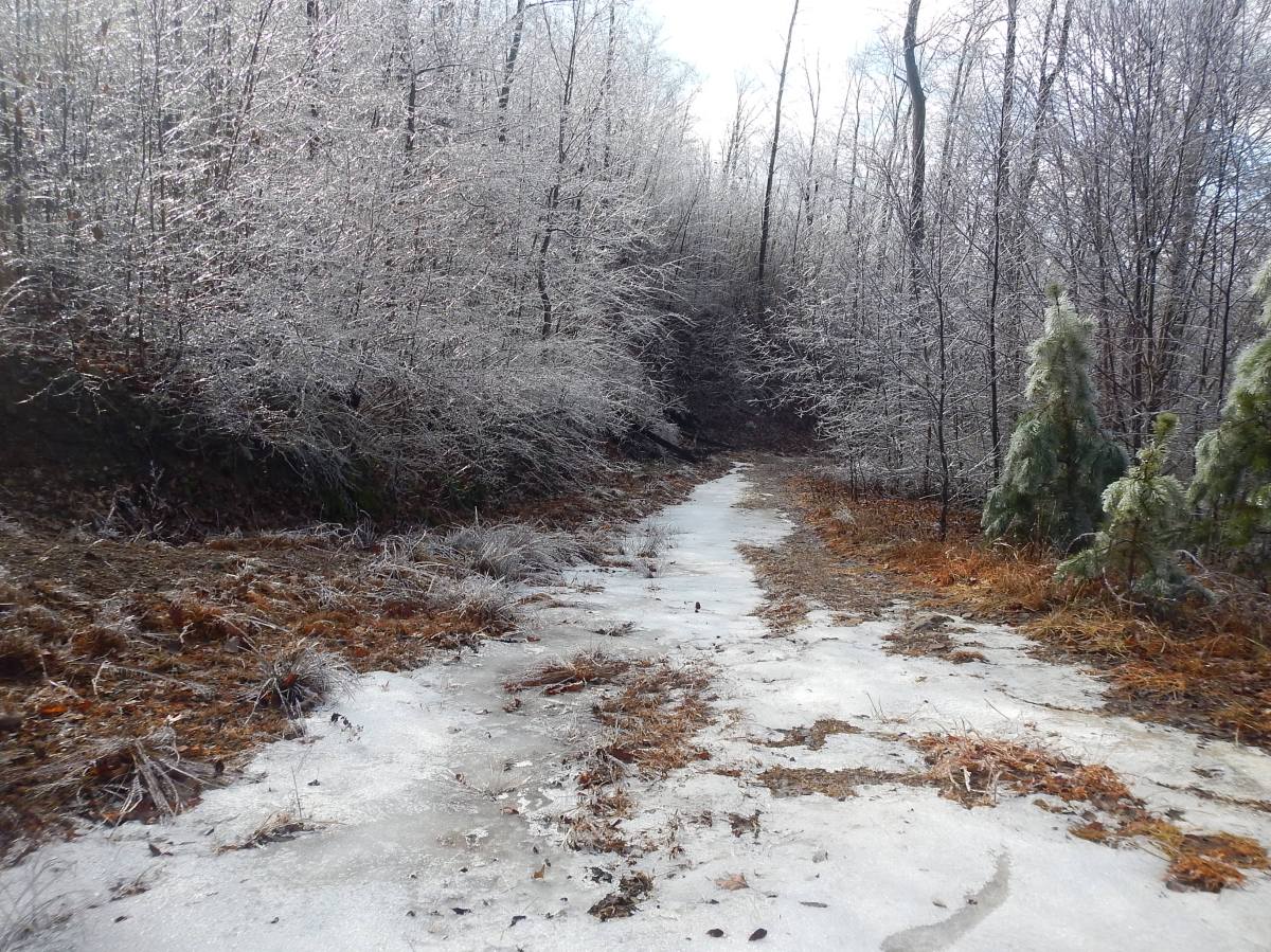 Pros and Cons | Turkey Runner