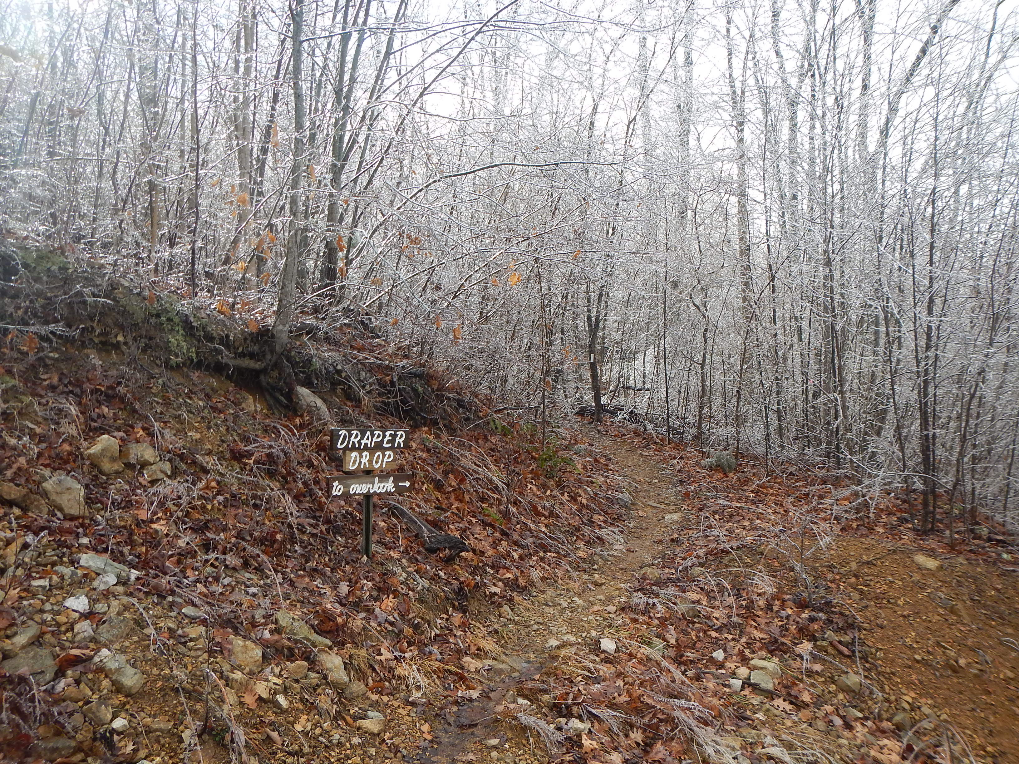 Pros and Cons | Turkey Runner