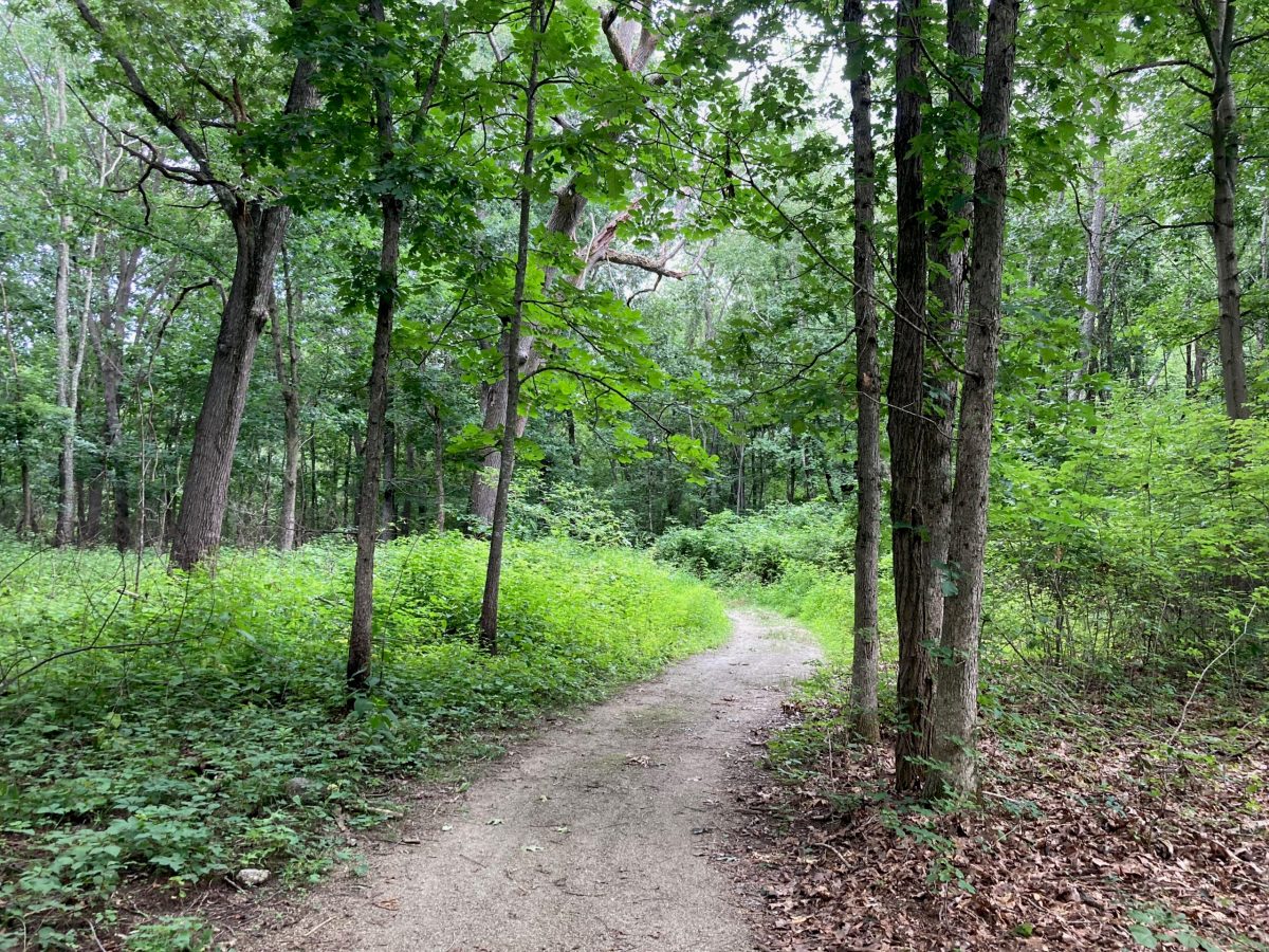 Virtual MCM Training – Week 2 | Turkey Runner