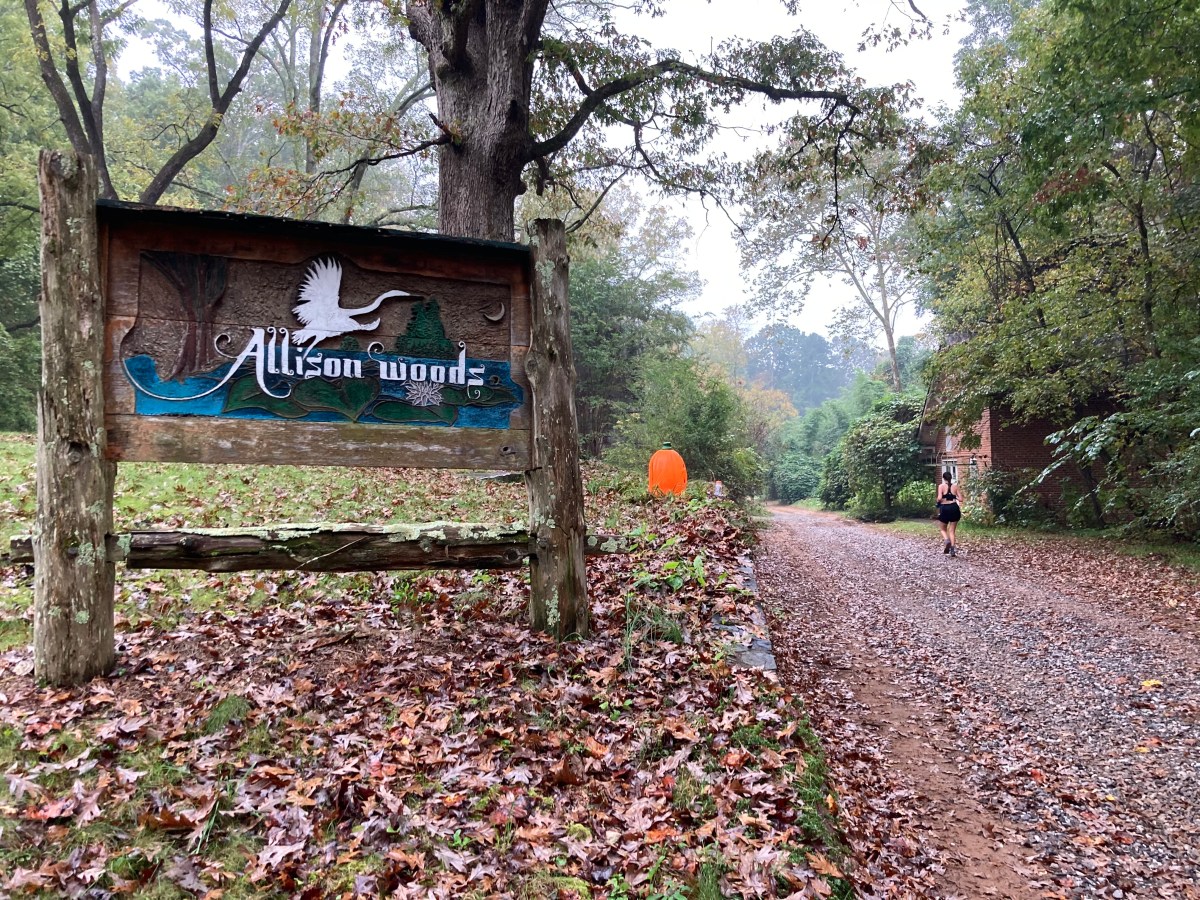 Allison Woods Halloween Hobble – Race Report | Turkey Runner